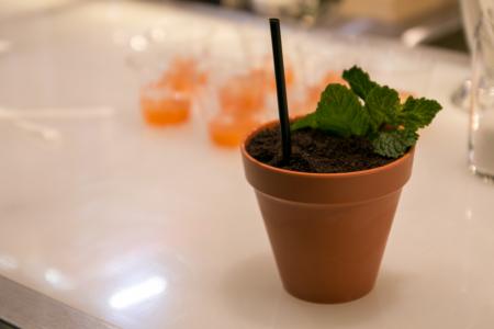 Things to Know About Can Can Wonderland - Visit Saint Paul